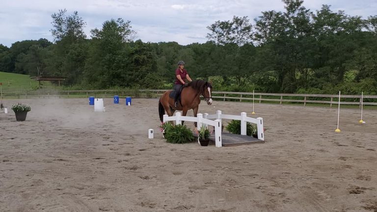 Working Equitation Clinic and EOH - clinics and training!